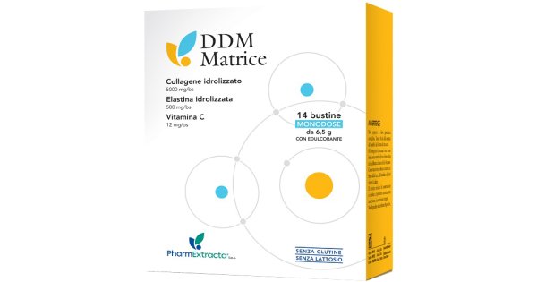 DDM Matrice 14 Bust.